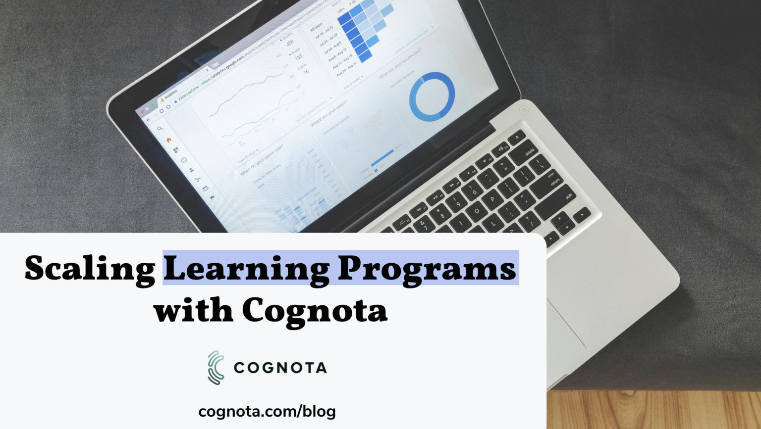 Scaling Learning Programs with Cognota: Unlocking Efficiency and Impact ...