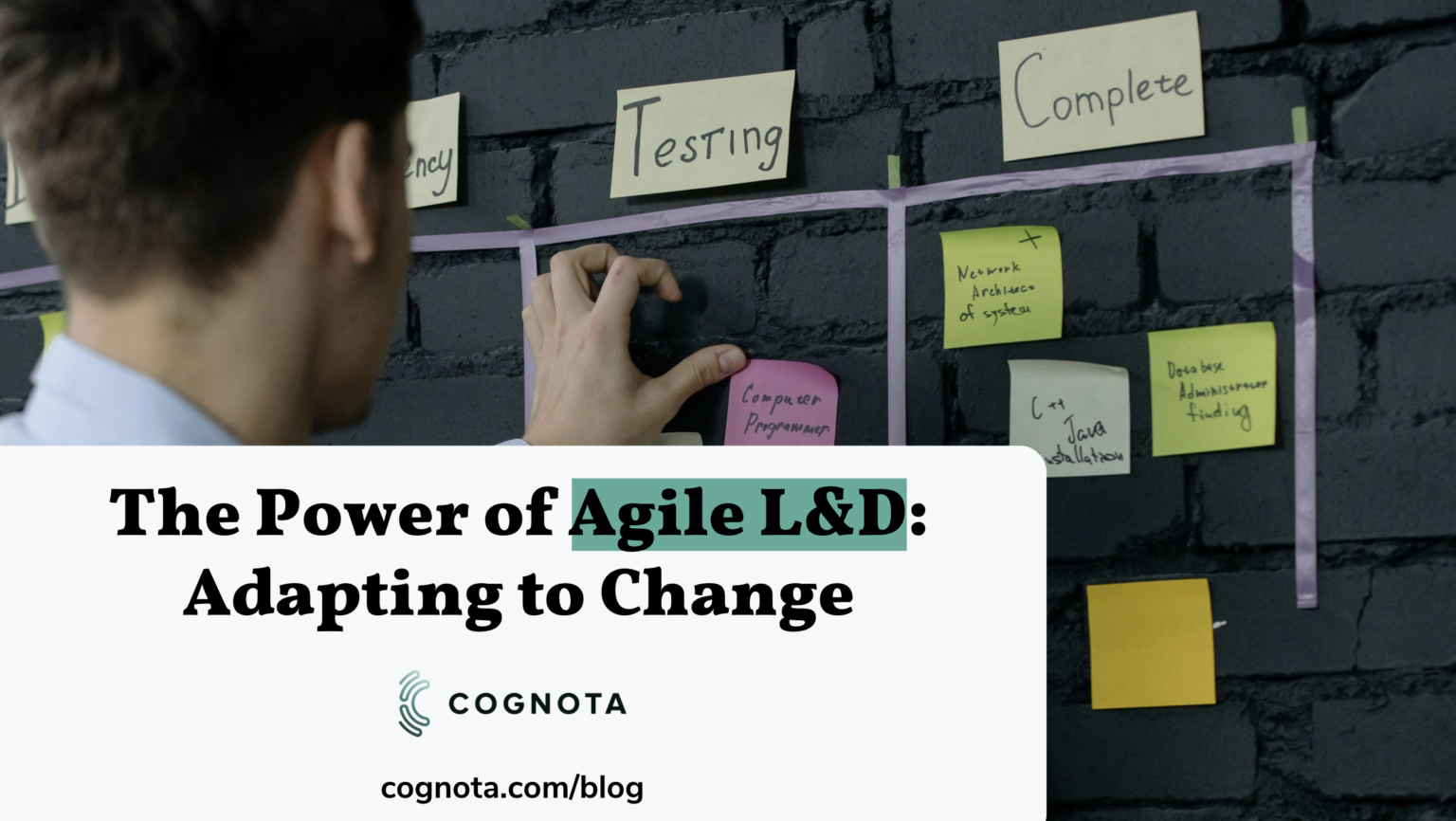 The Power of Agile L&D: Adapting to Change in Real Time - Cognota